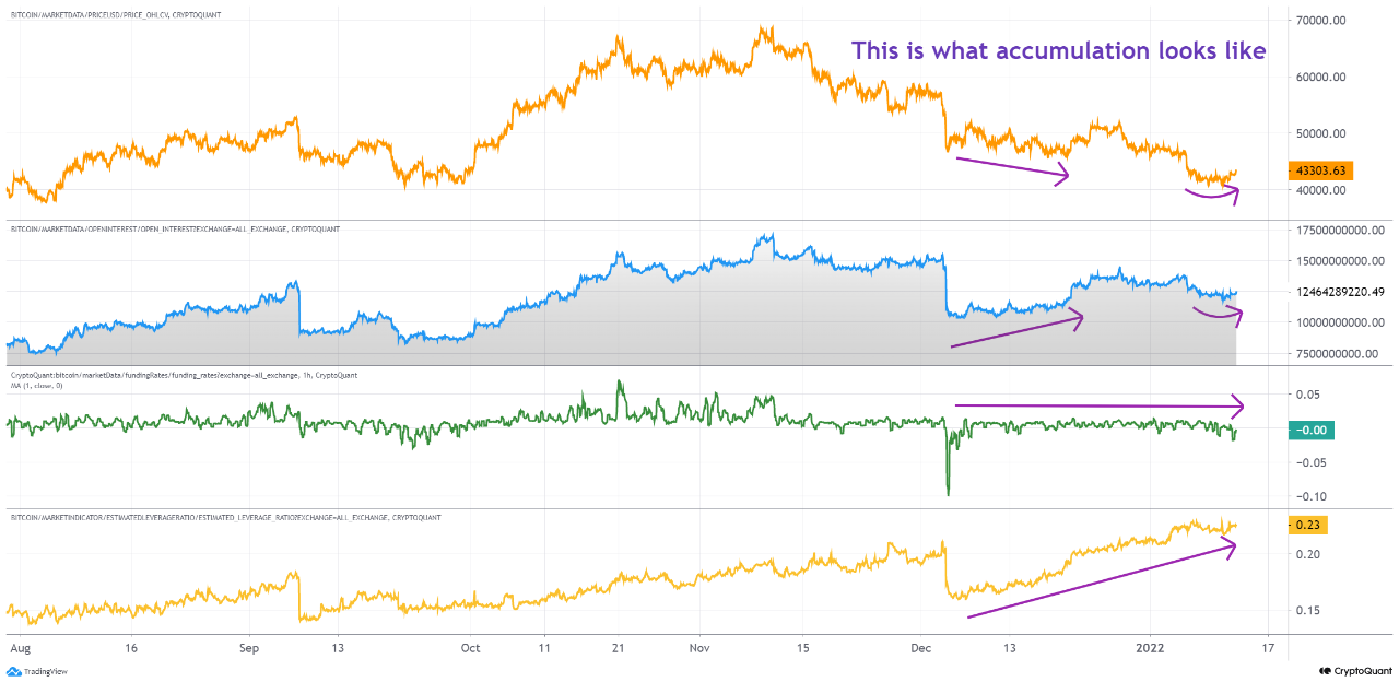 This is what accumulation looks like. | CryptoQuant