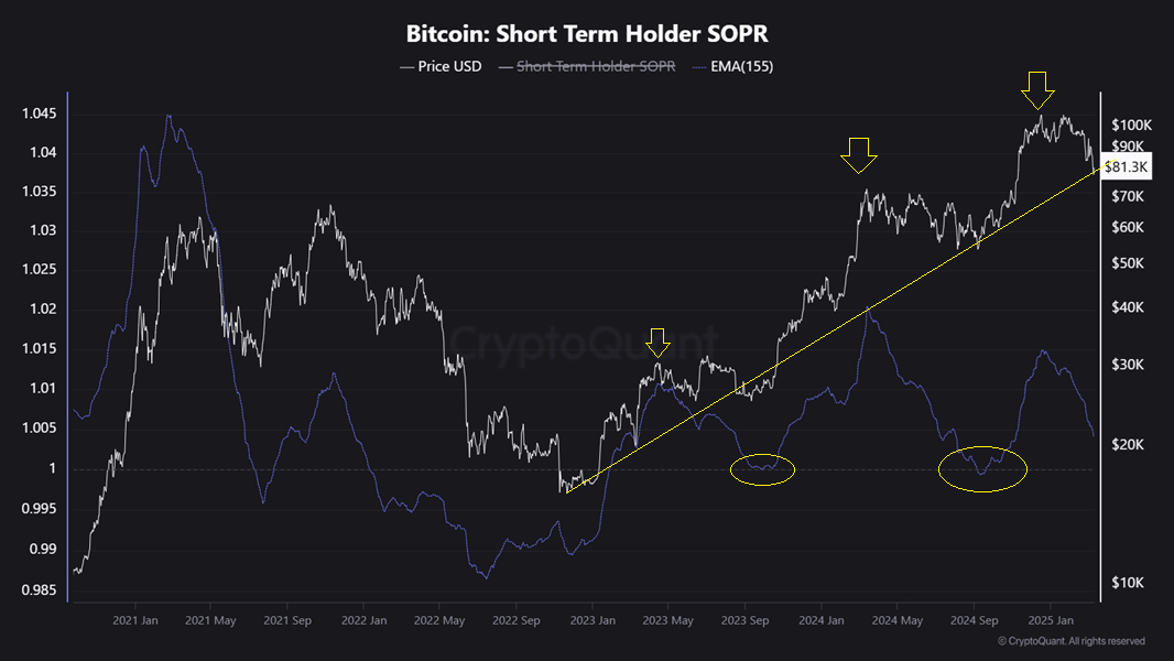 To Be Above 1 or Not to Be? The Short-Term Holder SOPR Dilemma | CryptoQuant