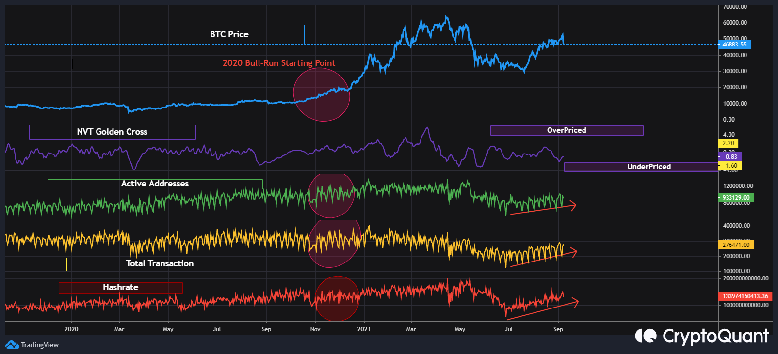 Network indicator | CryptoQuant