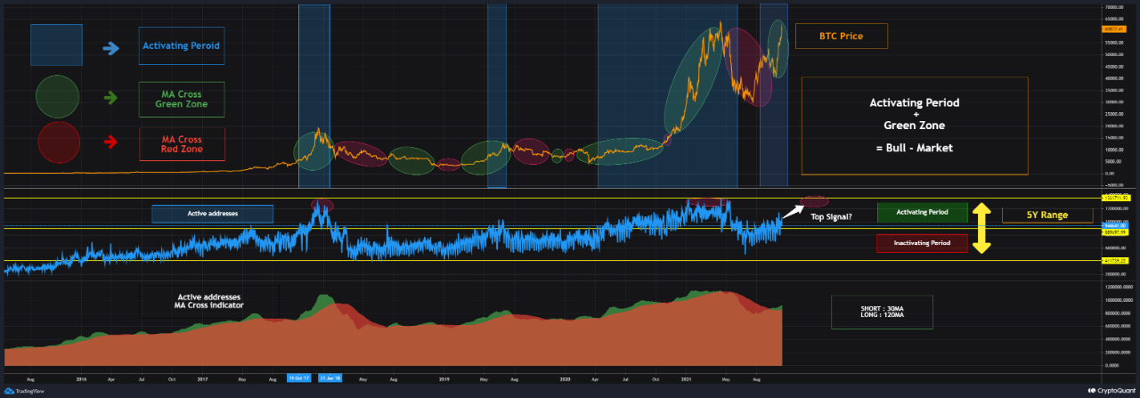 Top signal estimated by active addresses | CryptoQuant