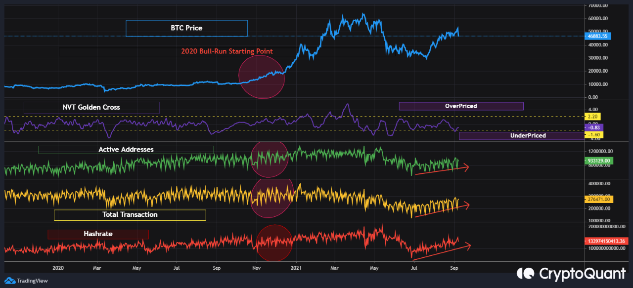 Network indicators that are different from 17's Dead cat bounce. | CryptoQuant