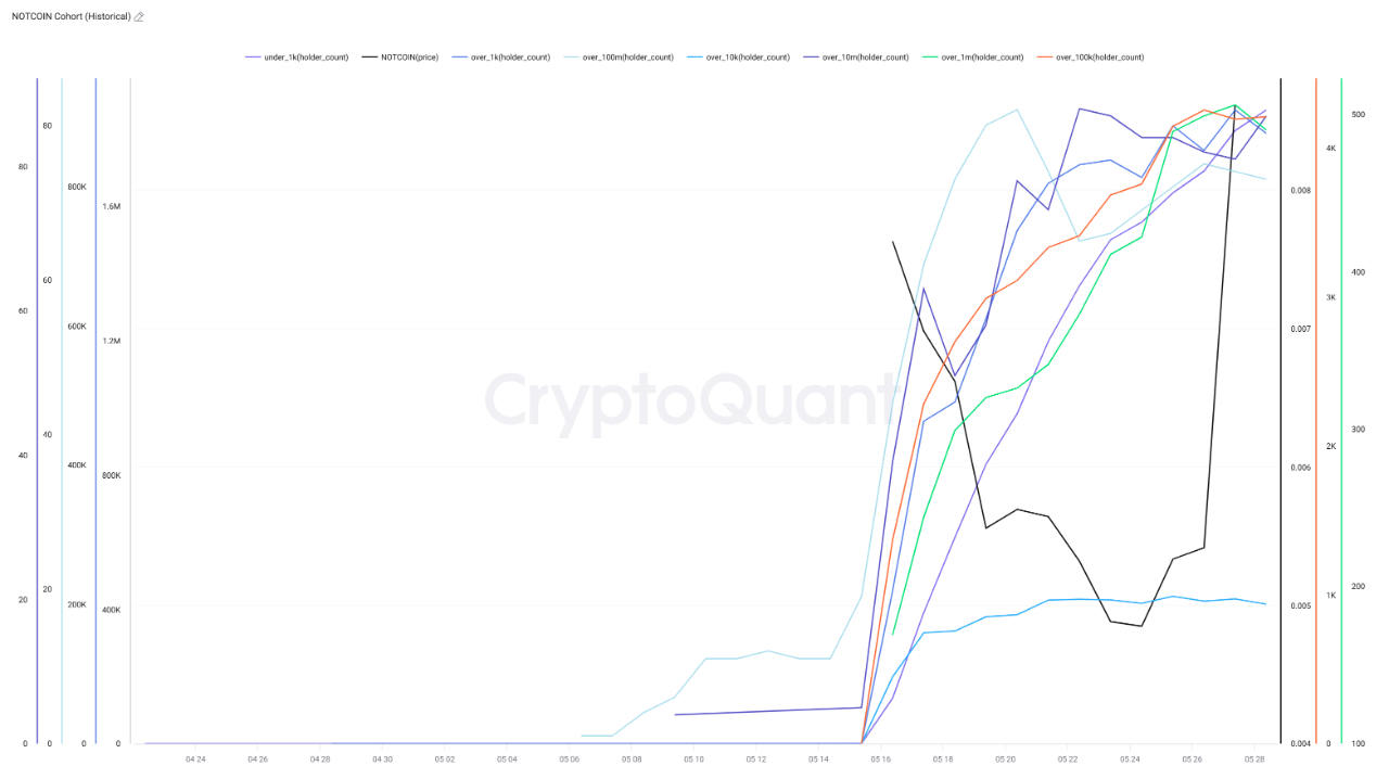 NOTCOIN's Market Behavior: From Listing to Distribution | CryptoQuant