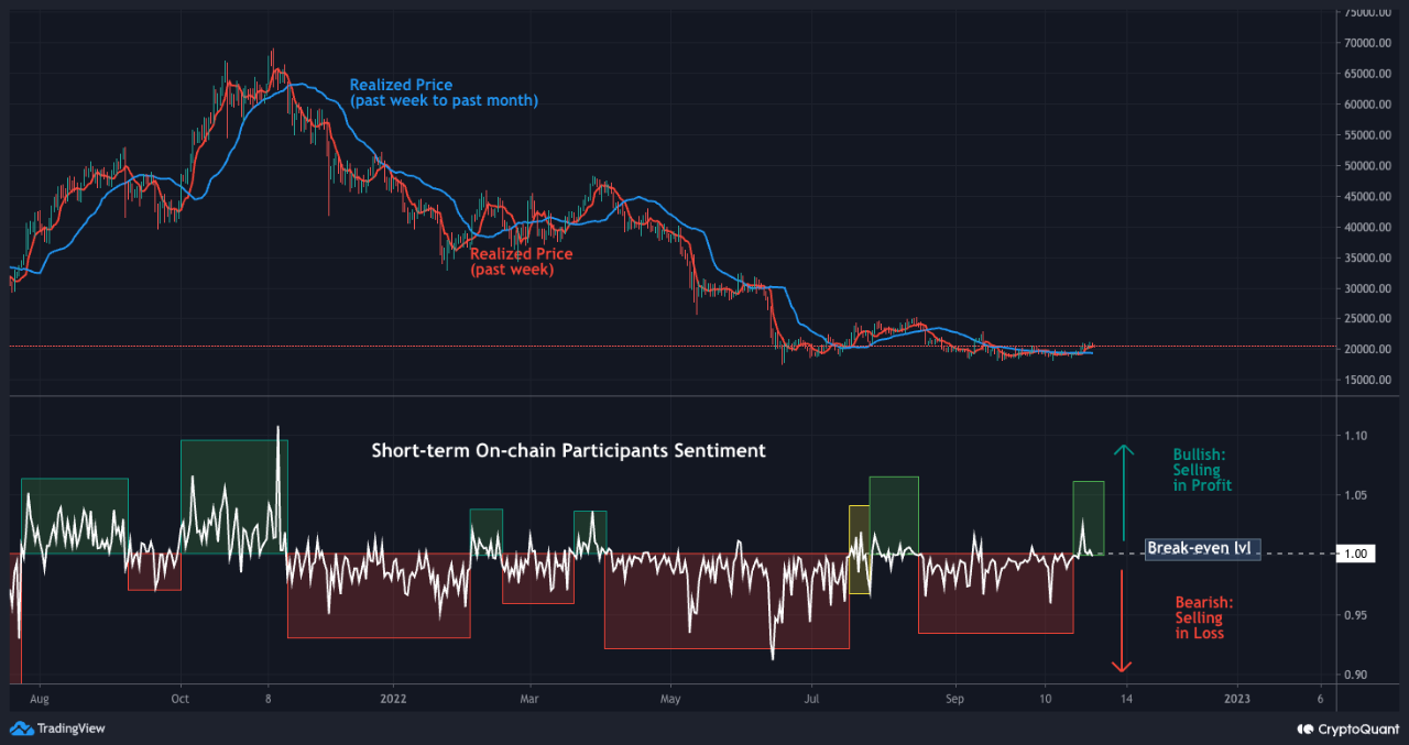 Short-term Sentiment Bullish | CryptoQuant