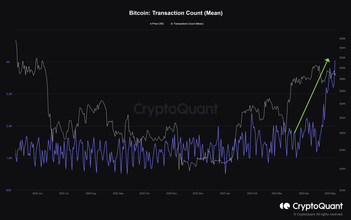 Bitcoin: Transaction Count (05/2023) | CryptoQuant
