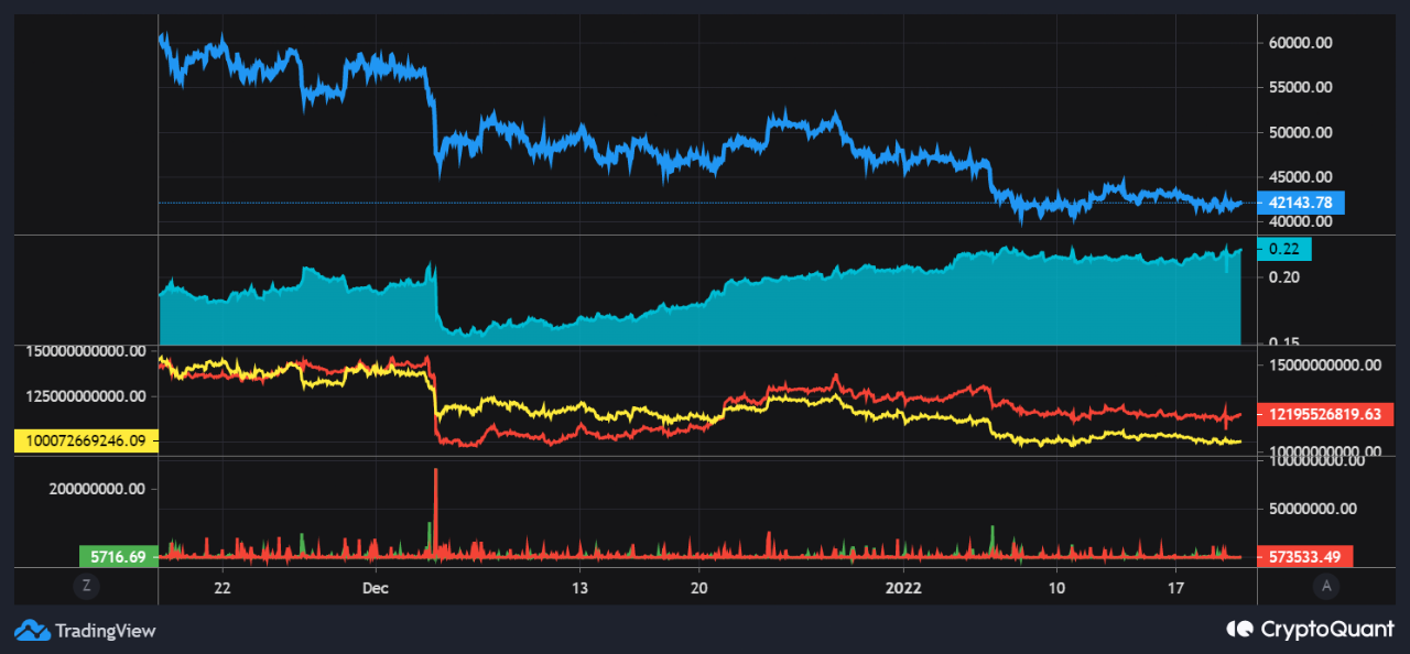 Bitcoin Long Squeeze! | CryptoQuant