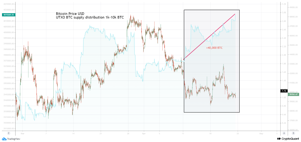 Whales taking advantage of the 40k BTC Price level ? | CryptoQuant