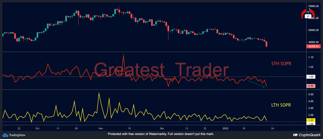 Perfect explanation for capitulation | CryptoQuant