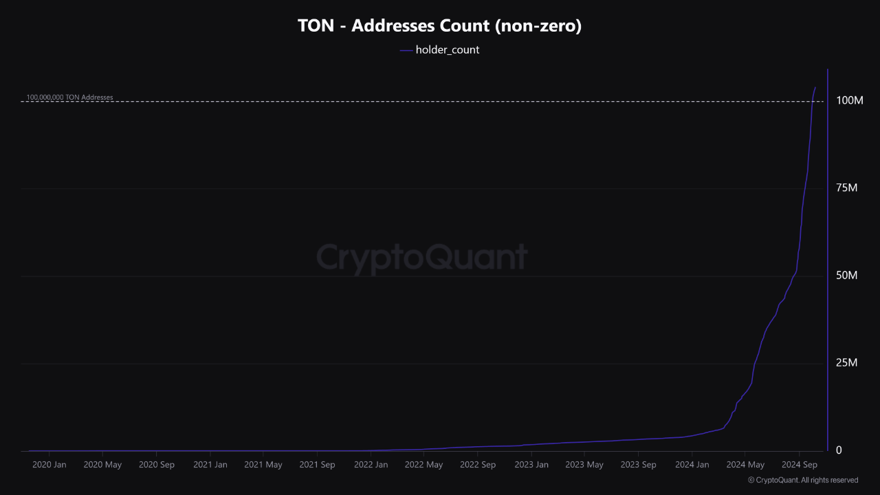 TON Holder Count reaches 100 million 🎊 | CryptoQuant