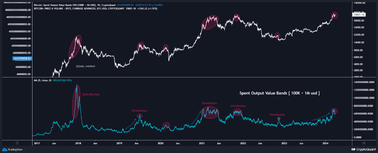 How Sharks and Whales Shape Bitcoin Price: Uncover How This Indicator ...