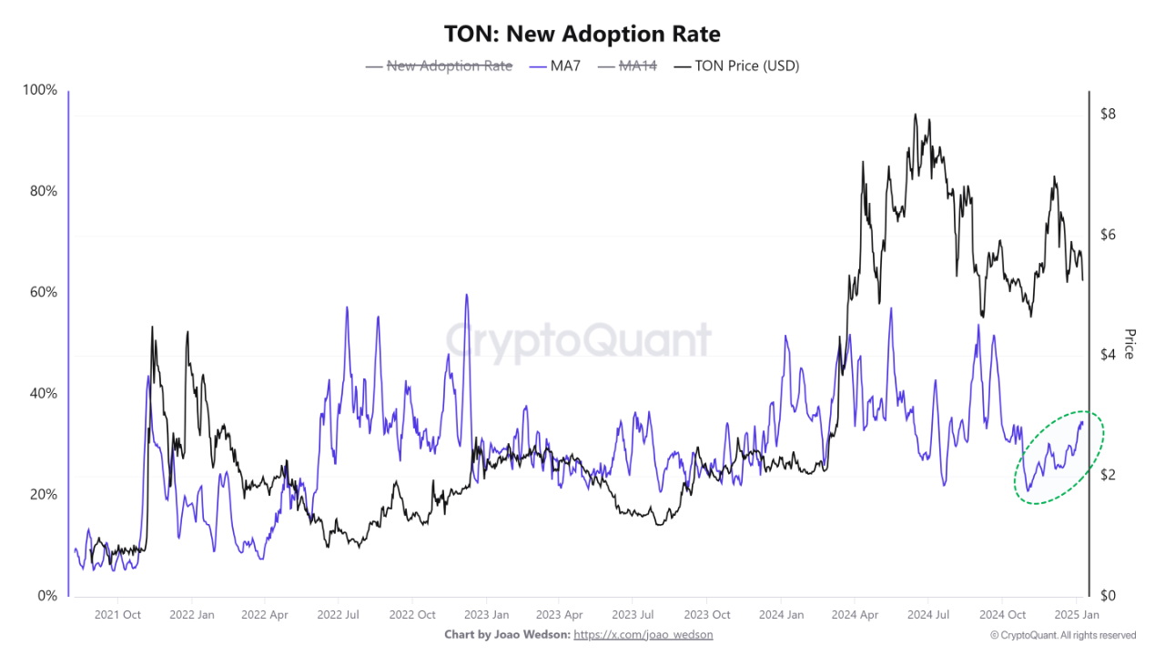 🚀 TON New User Adoption Rate is on the Rise - New Adoption Rate ...