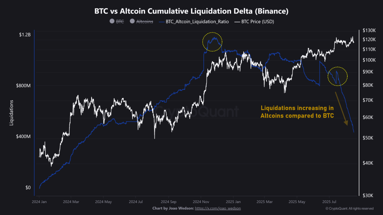 Altcoin Liquidations Surpass BTC: A Strong Signal of Growing Speculation | CryptoQuant