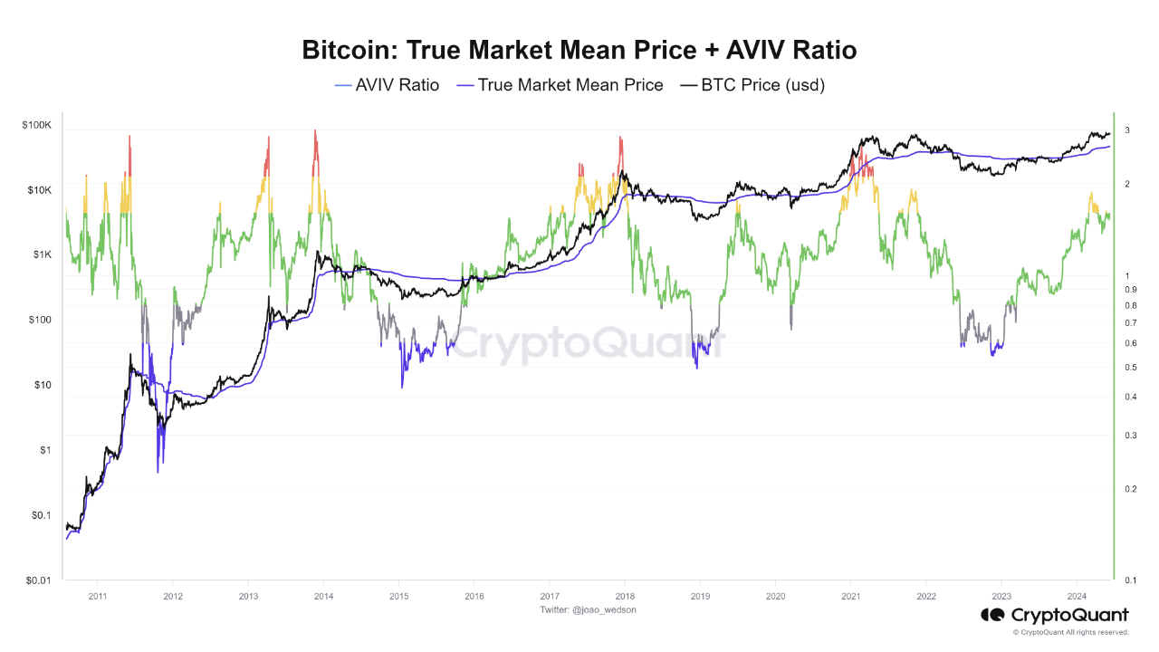 Innovative Market Evaluation: Understanding Bitcoin with True Market ...