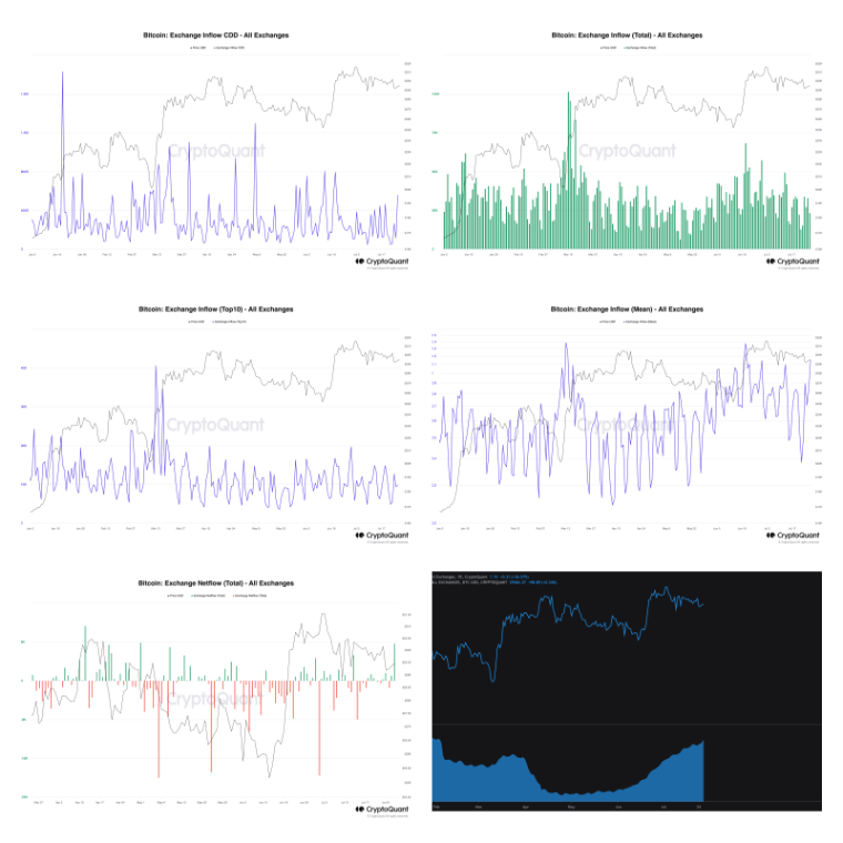 🚨RISKY EXCHANGE INFLOWS ? | CryptoQuant