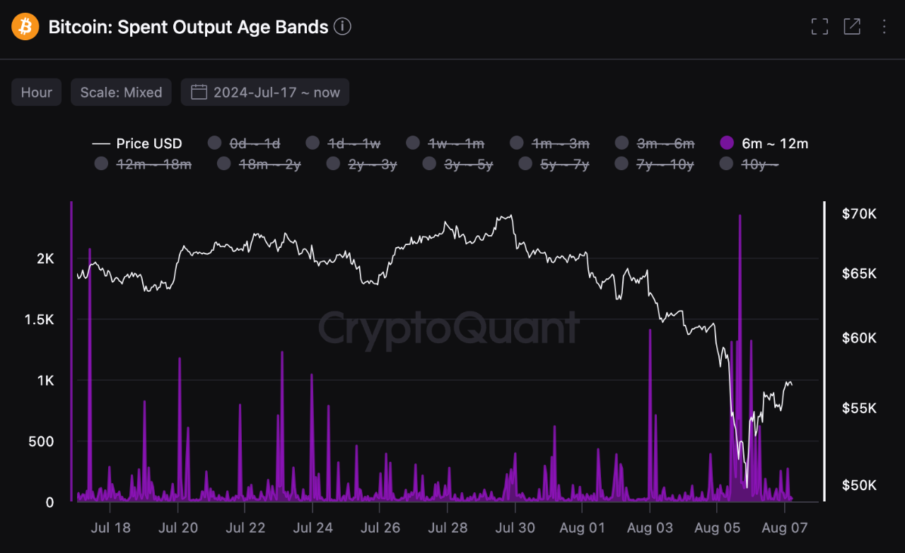 ETF holders (6m-12m) on sale | CryptoQuant