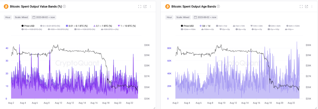 Check for dumping of short-term holders and large entries | CryptoQuant Check for dumping of short-term holders and large entries | CryptoQuant