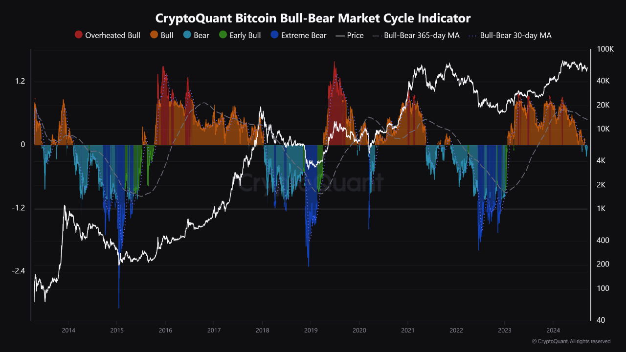 Bitcoin Bull-Bear Cycle: Key Insights for Investors | CryptoQuant