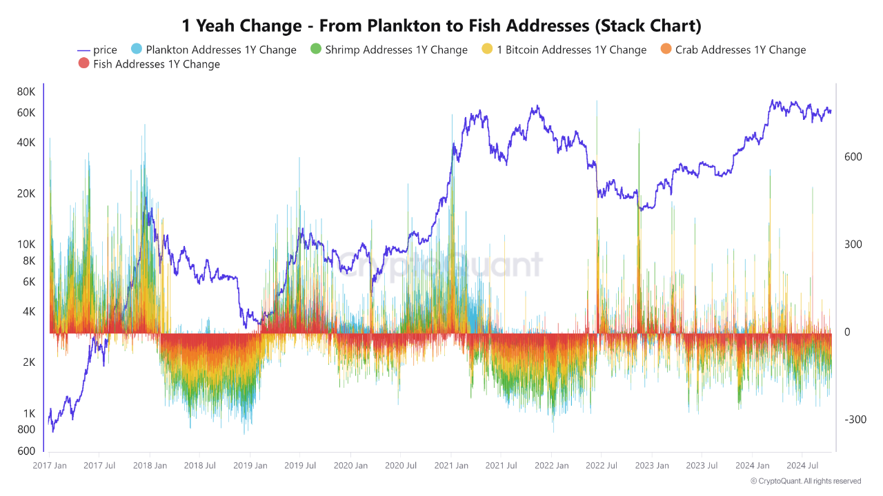 1 Year Change - From Plankton to Fish Addresses | CryptoQuant