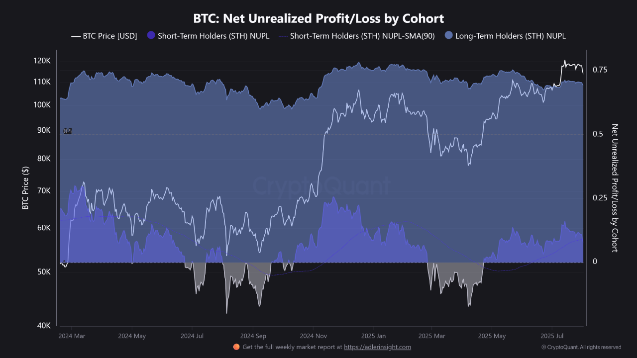 Is BTC ’s Bull Run Coming to an End? | CryptoQuant