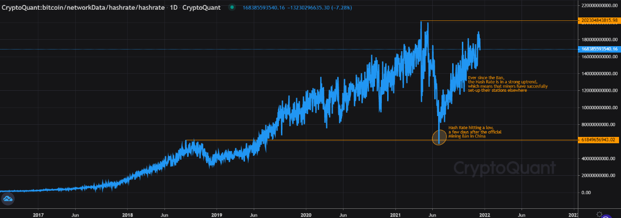 Hash Rate making a V-shape recovery | CryptoQuant