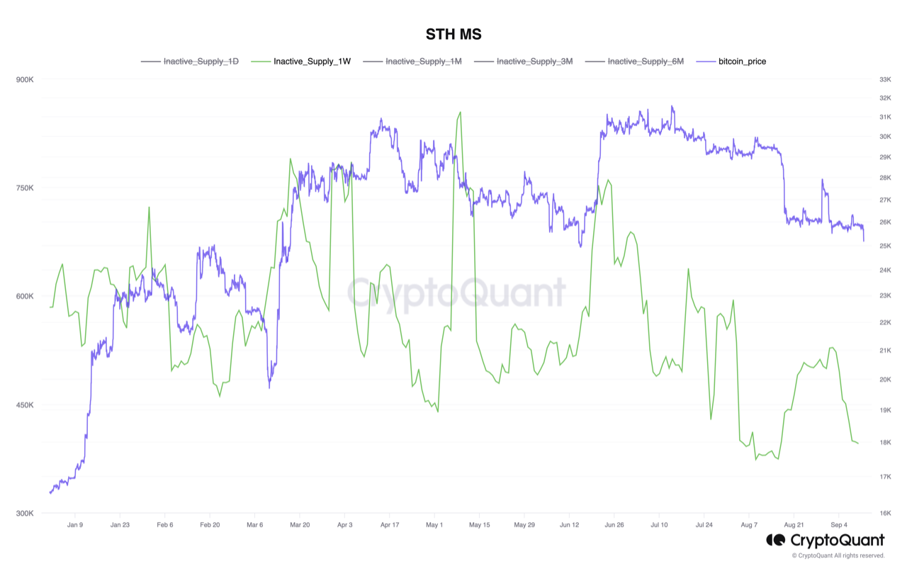 Short-Term Bitcoin Holder Momentum Spectrum (STH MS) Analysis | CryptoQuant