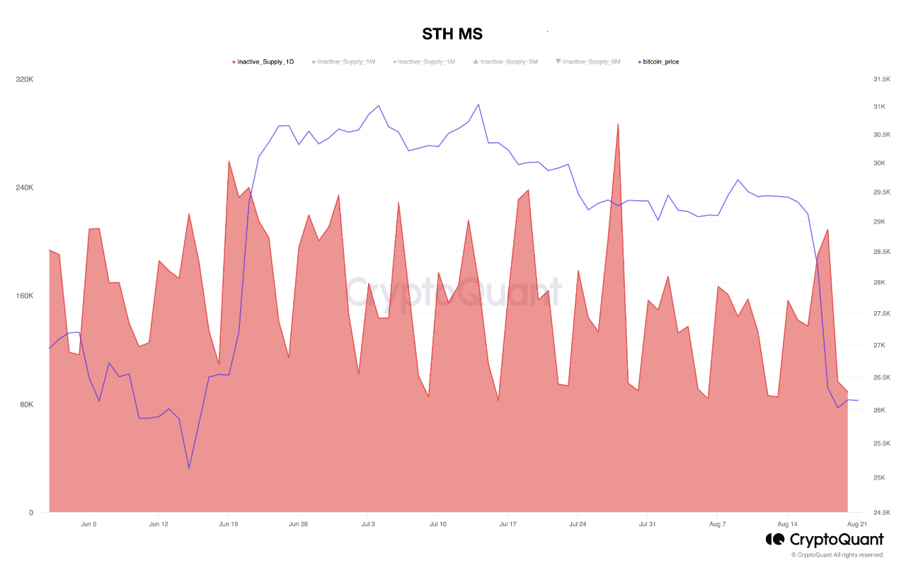 Bitcoin Short Term Holder Momentum Spectrum (STH MS): Unveiling the ...