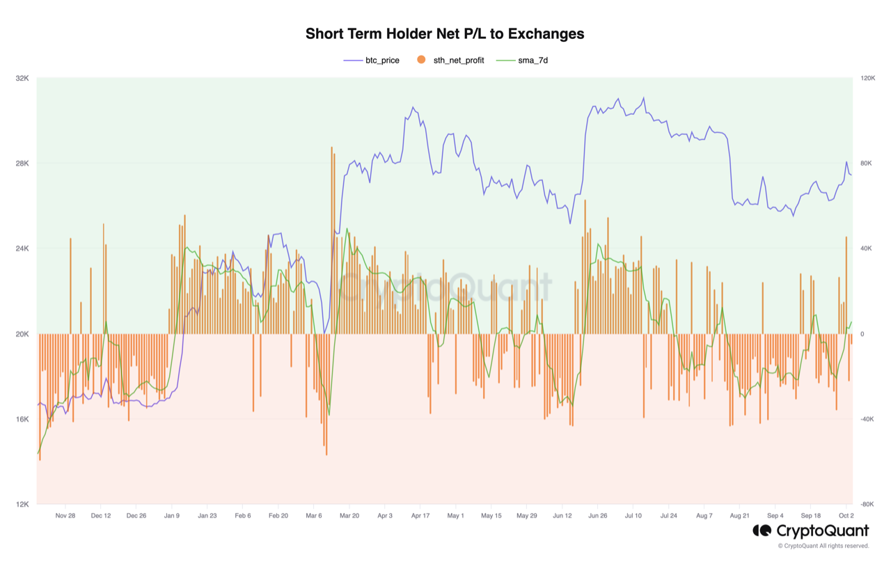 Analyzing Short-Term Holder PNL & Long-Term Holder PNL: Insights from ...
