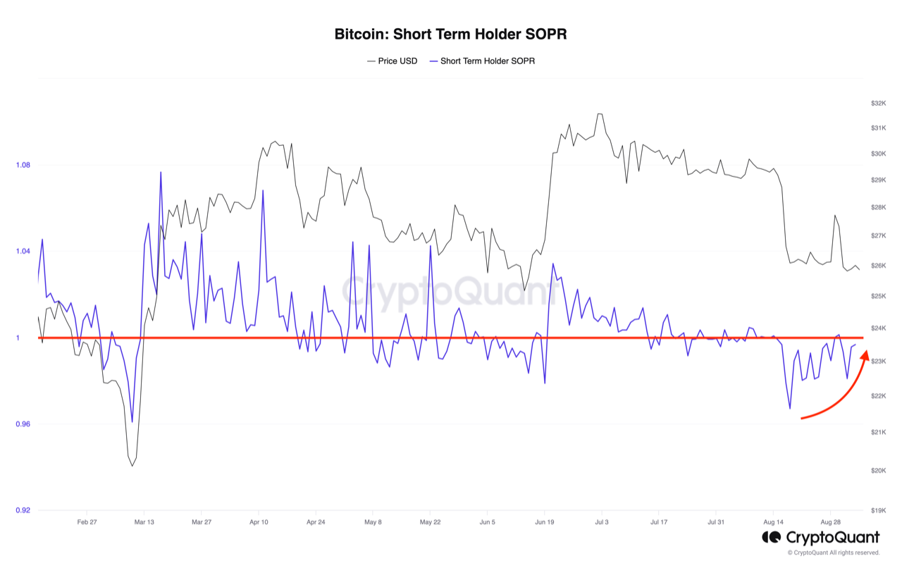 Short-Term Bitcoin Holder Profitability and STH-SOPR Dynamics: Insights ...