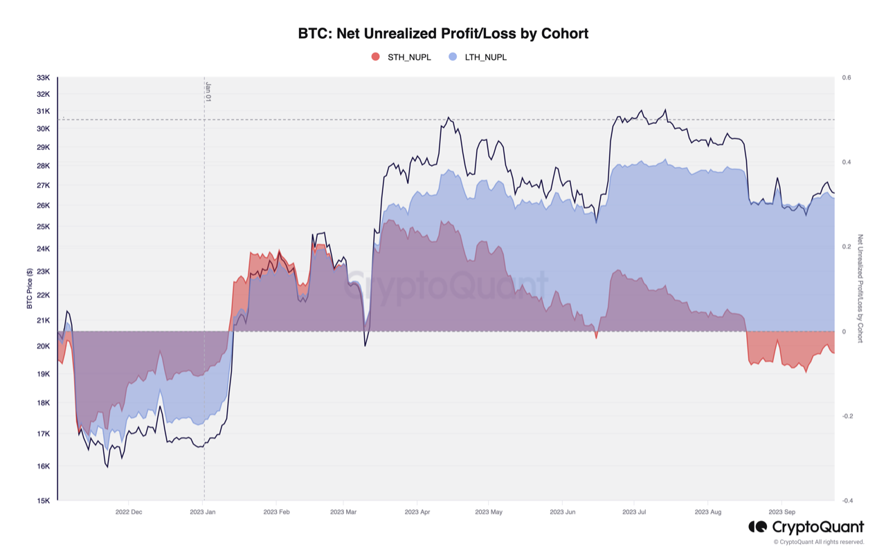 Bitcoin Market Sentiment Analysis: Unveiling NUPL Trends Among Short-Term and Long-Term Holders