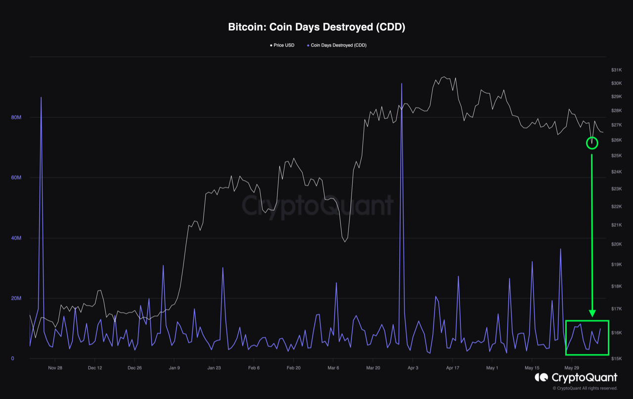 Analysis of Bitcoin Price Volatility, Investor Actions, and Market ...