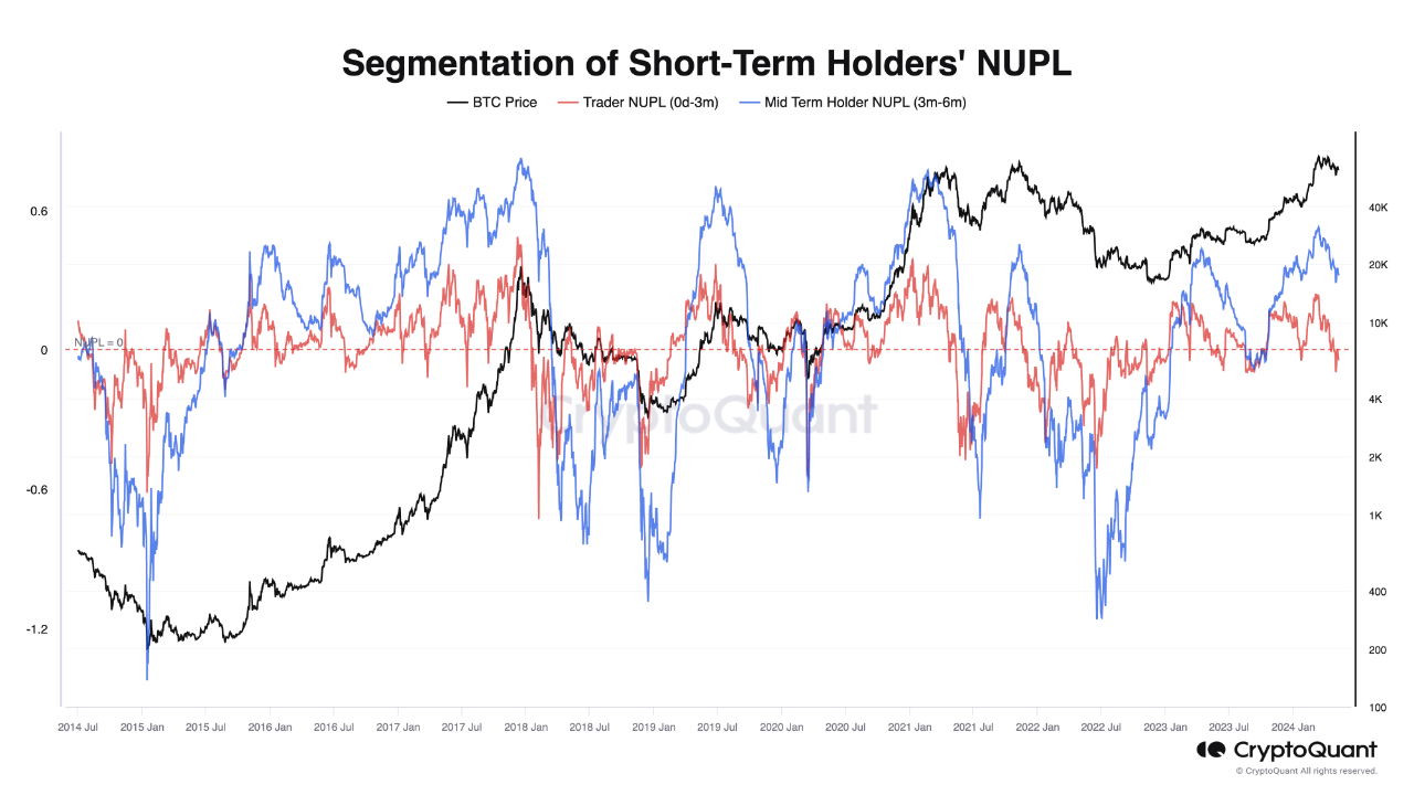 Segmentation of Short Term Holder's NUPL | CryptoQuant