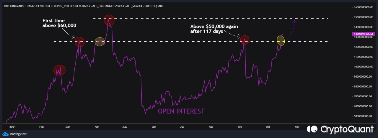 Euphoria knocking on the Bitcoin door | CryptoQuant