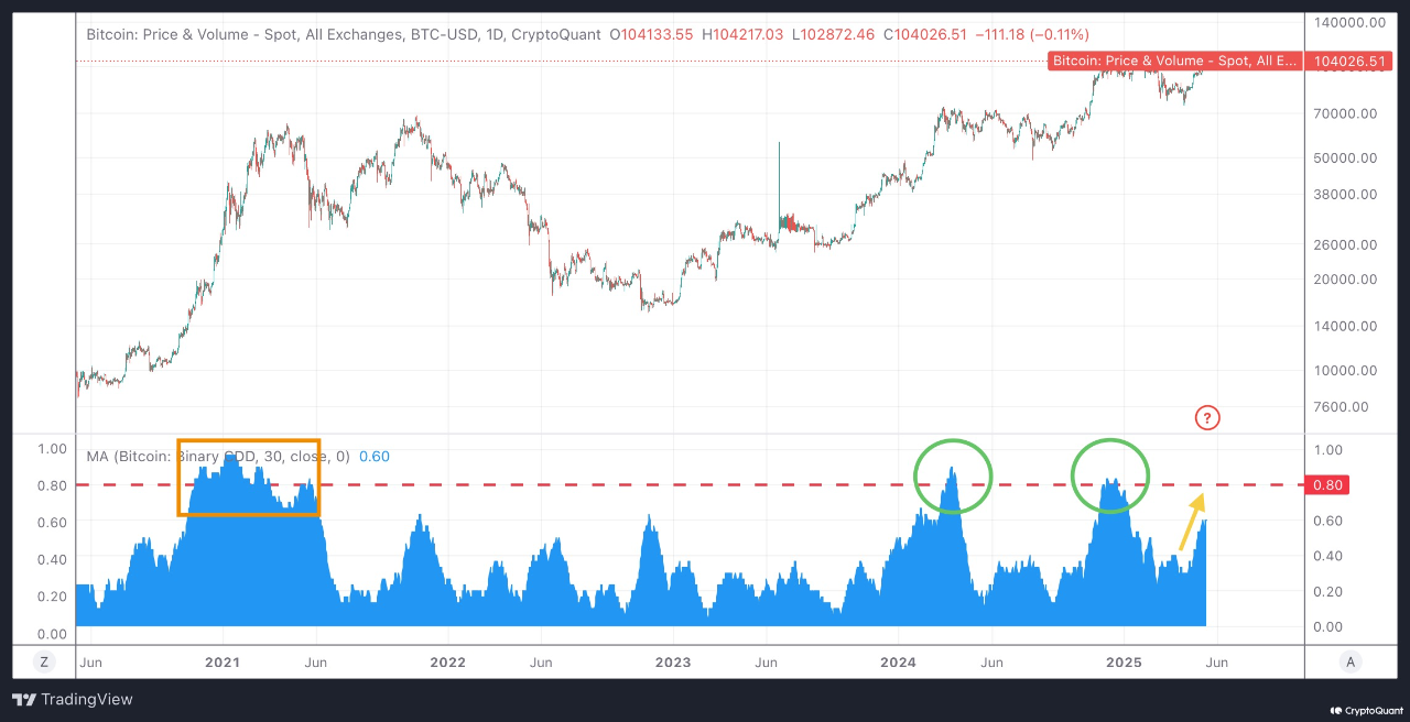 Binary CDD Rising: Time to Monitor Long-Term Holder Activity) | CryptoQuant