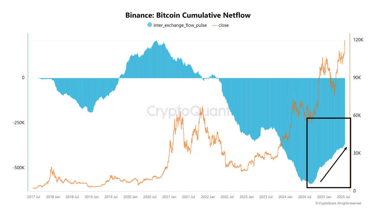 Assessment of the Divergence Between Binance Bitcoin Netflow and ...