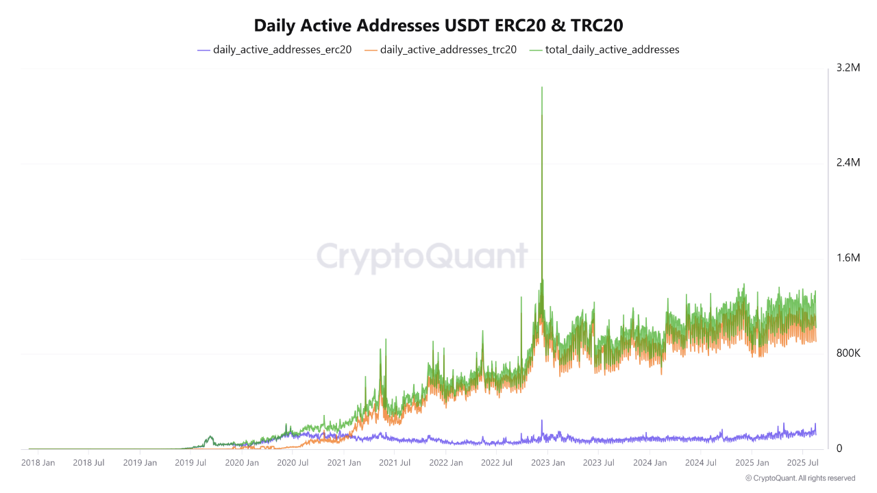 USDT Active Addresses Across ERC20 & TRC20: TRON’s Retail Dominance ...