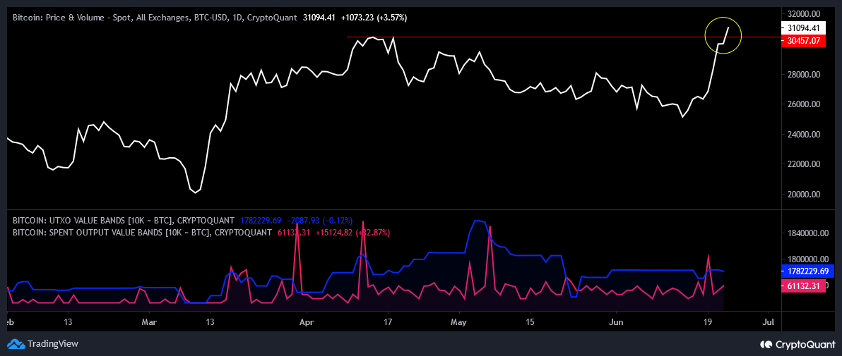 BTC: Whale Domination | CryptoQuant