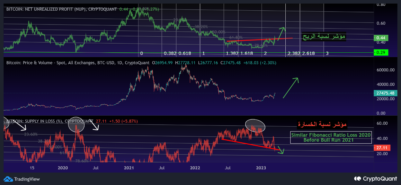BITCOIN LOSS & PROFIT RATIO | CryptoQuant