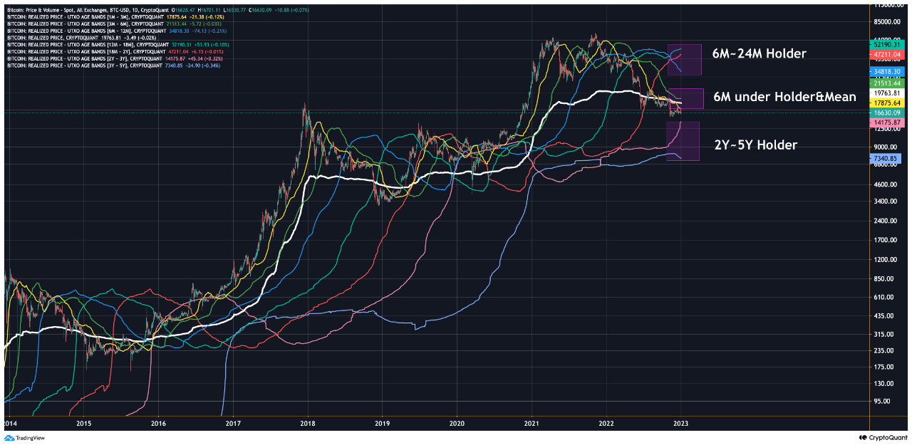 Panic selling by long-term holders is underway. The bottom is ...