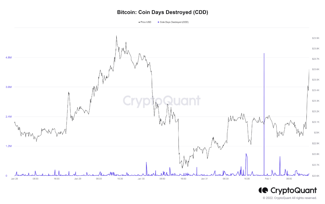 Elevated BTC Whale Activity in Exchanges and Positive Liveliness ...