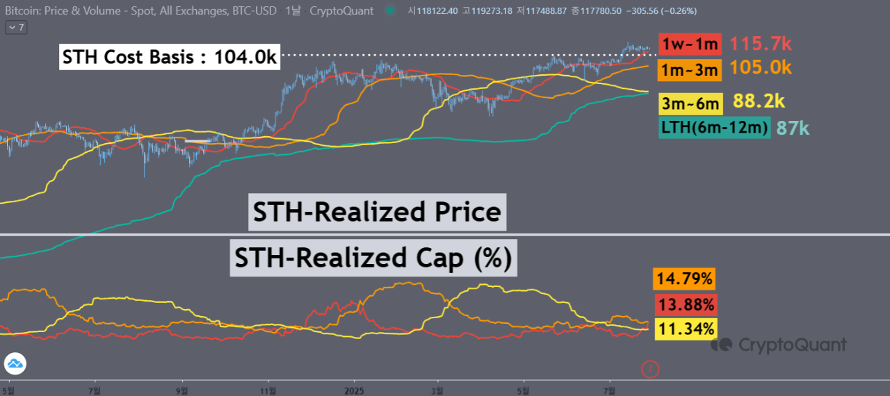 Rising STH Cost Basis: Keep an Eye on the $104k–$105k Range | CryptoQuant
