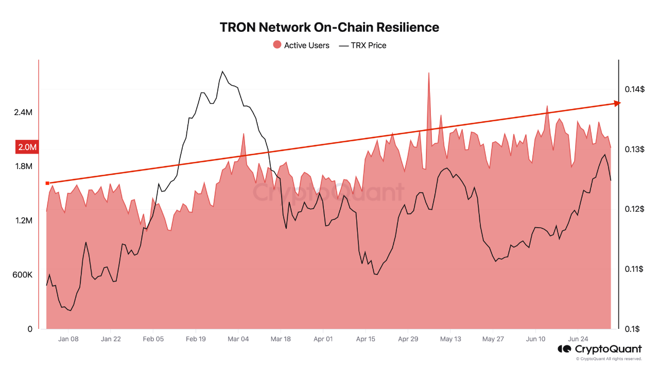 TRON Network Maintains Resilient User Base Amid Market Uncertainty ...