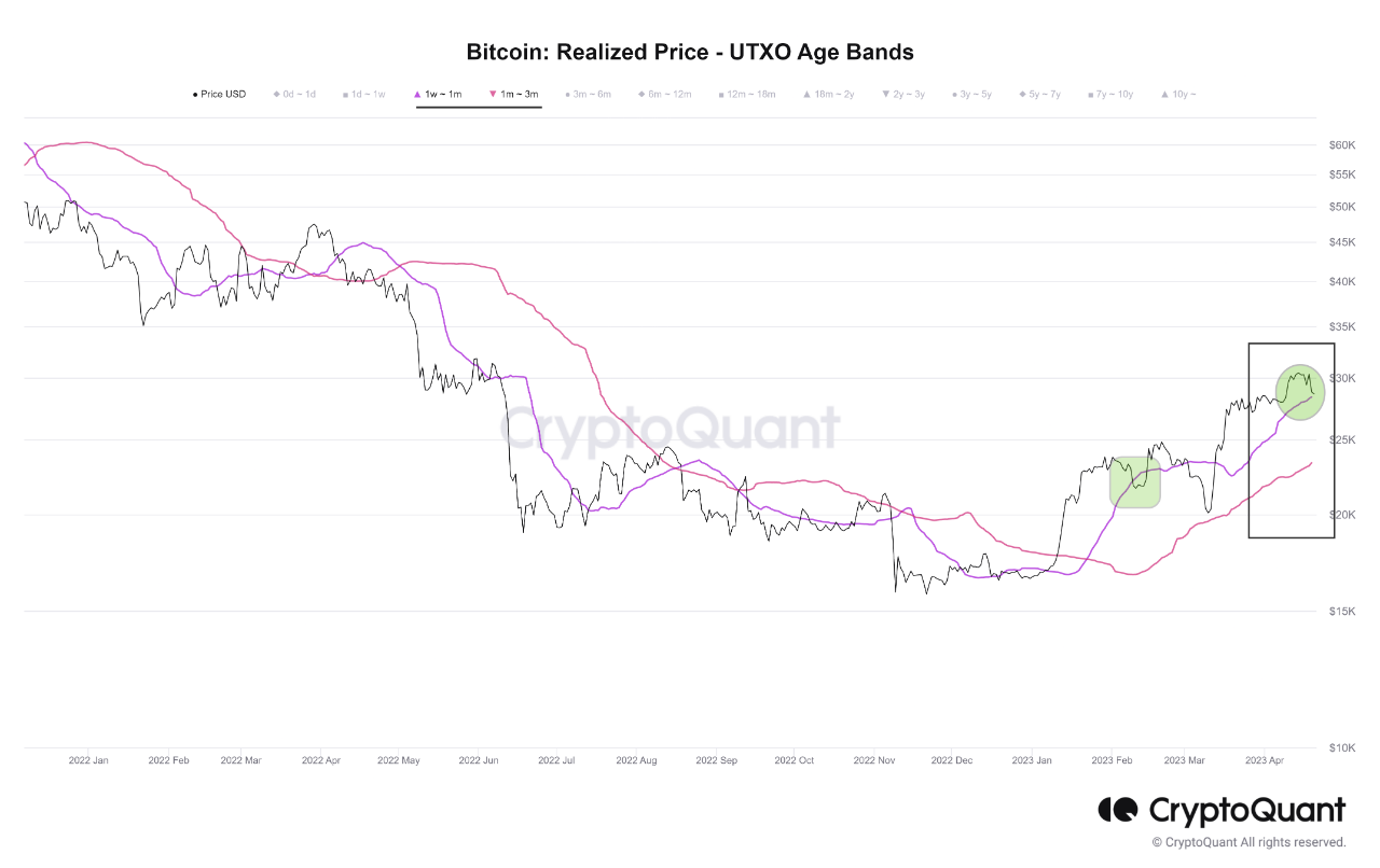 BTC: the dominance of traders | CryptoQuant