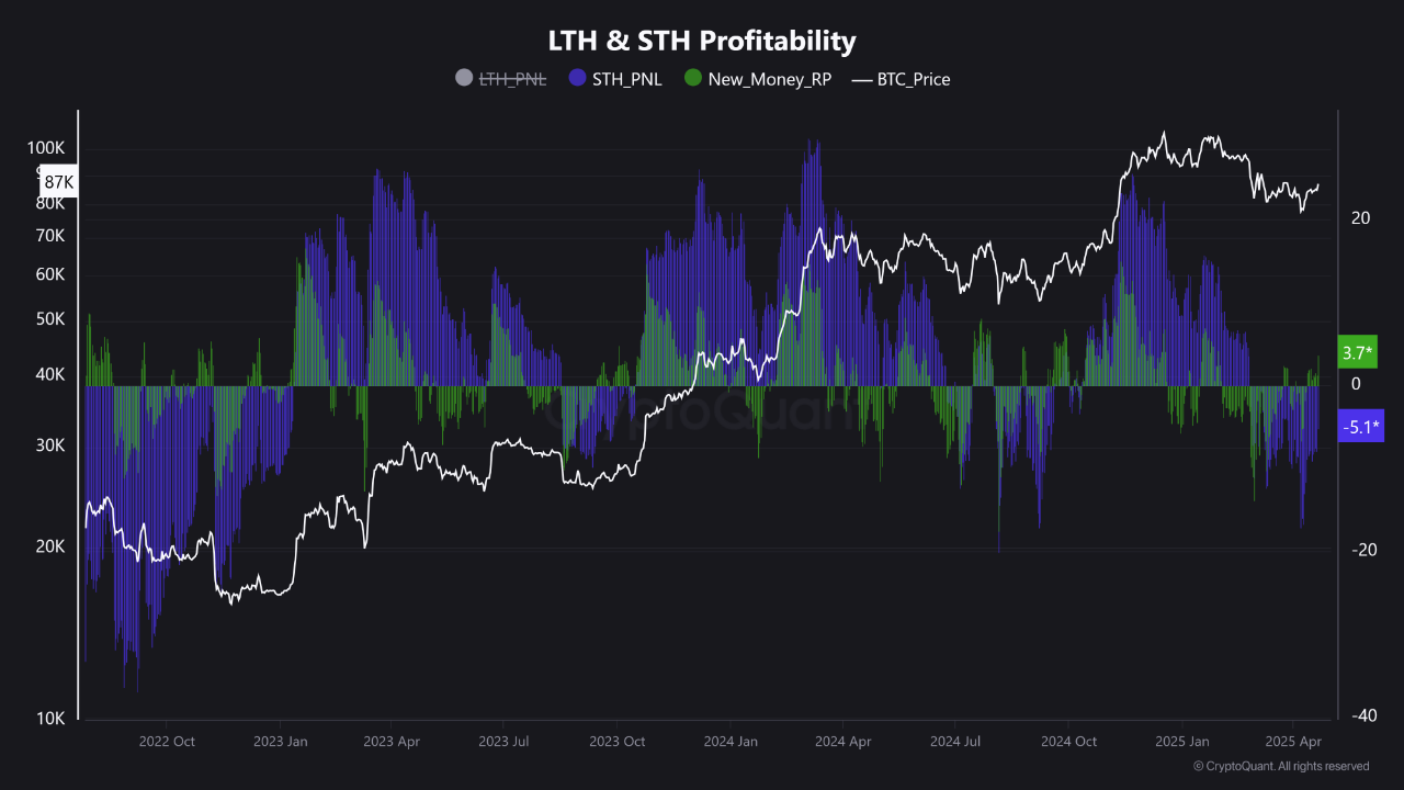 Short-Term Holders Still in the Red While New Investors Flip Back to ...