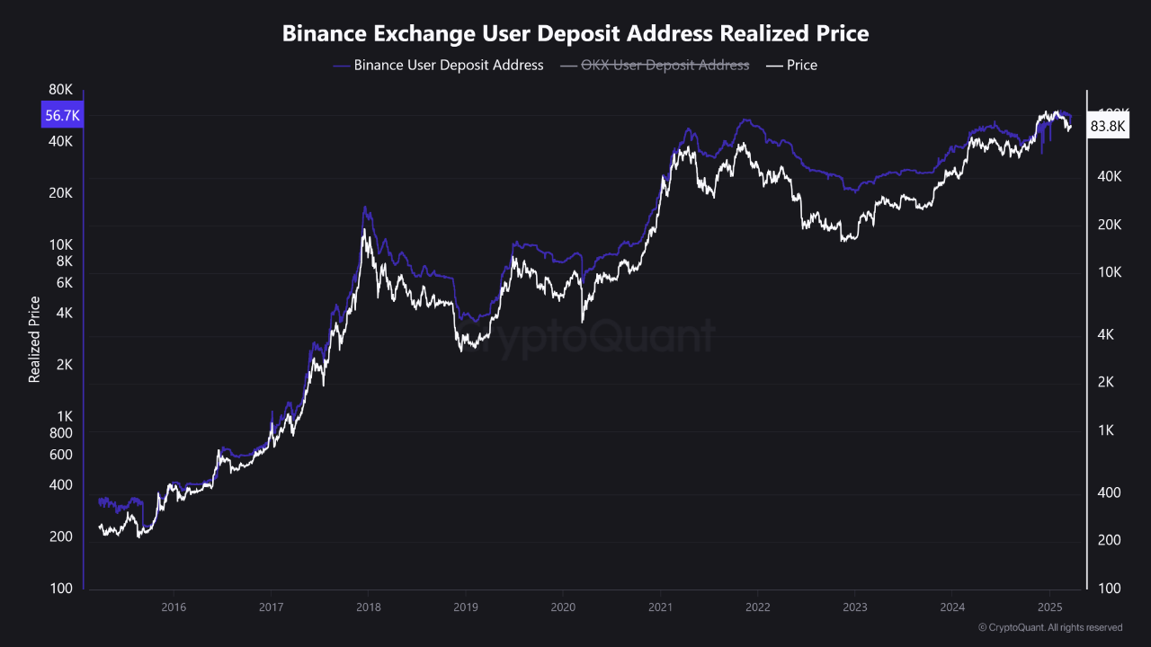 Binance Users’ Profitability Holds Strong Amid Market Fluctuations ...