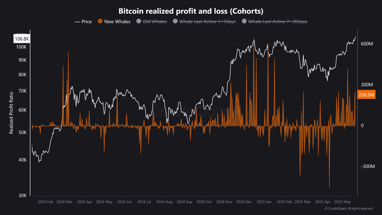 Bitcoin Whale Behavior & Net Realized Profit/Loss (NRPL) – Cooling ...