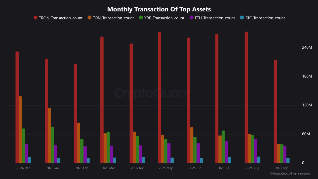TRON's Transaction Volume Eclipses Major Rivals Combined | CryptoQuant