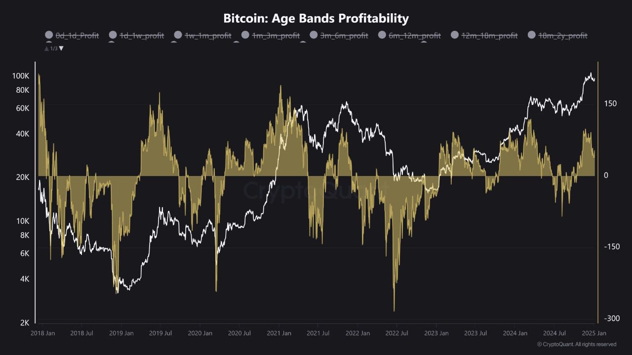 Declining Profitability for Short-Term Holders Signals Reduced Demand ...