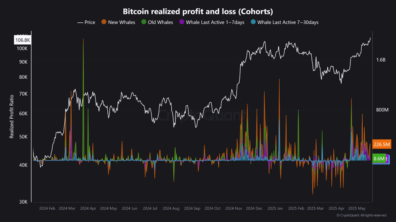 Bitcoin Whale Behavior & Net Realized Profit/Loss (NRPL) – Cooling ...