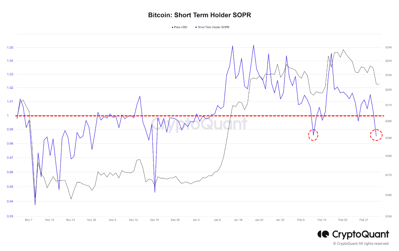 Short-term Holders Importance | CryptoQuant