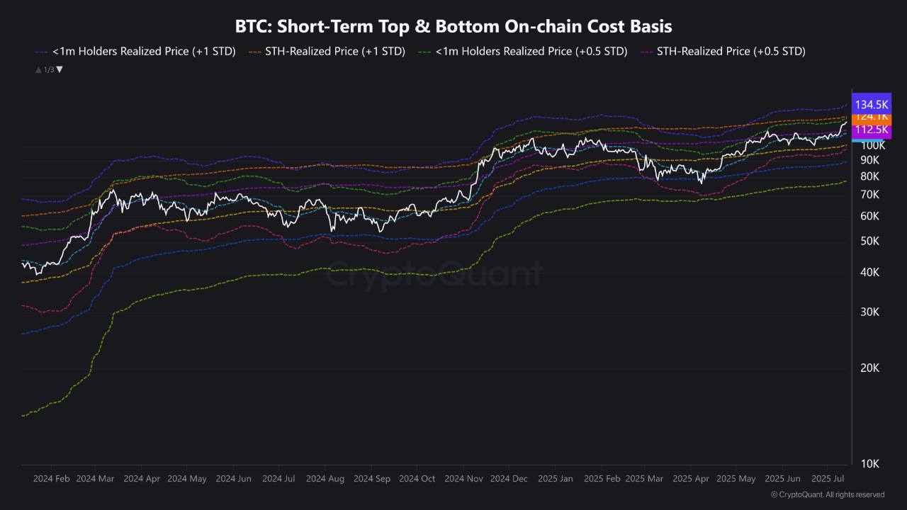 Key Bitcoin Support & Resistance Levels Based on On-chain Data ...