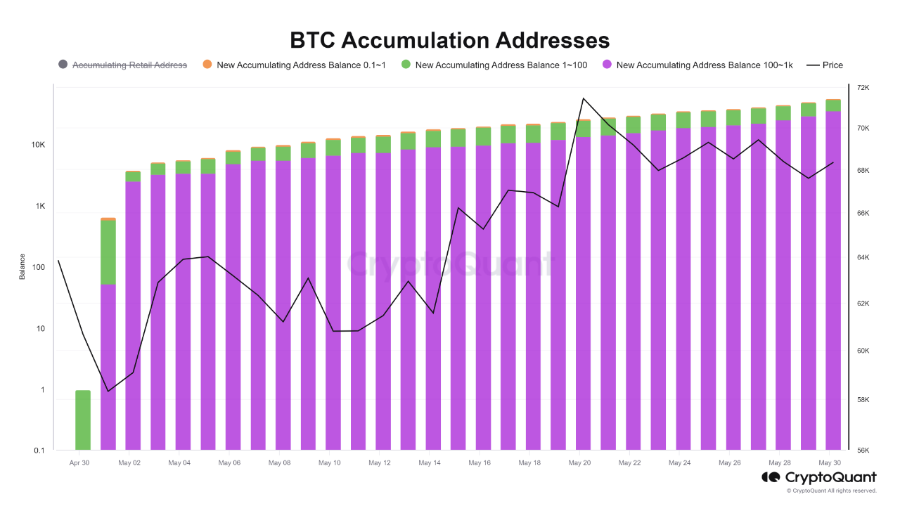 Growth Surge in Bitcoin and Ethereum Accumulation Addresses: What It ...